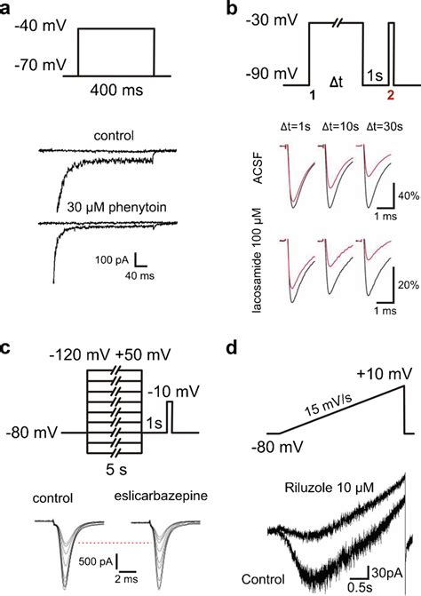 Different Voltage Clamp Protocols For Persistent Sodium Currents And Download Scientific