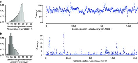 Alignment Identity And Spatial Genome Coverage For In And Download