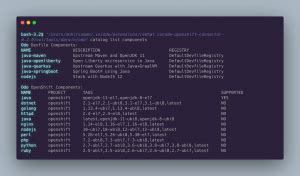 Devfiles And Kubernetes Cluster Support In Openshift Connector