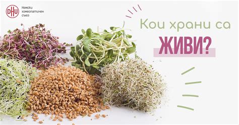 Шуслерови соли За да са здрави клетките те трябва да се