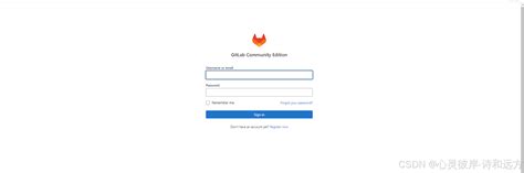 Devops工程技术价值流：gitlab源码管理与提交流水线实践 Csdn博客