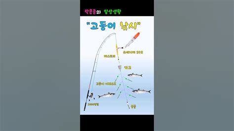 고등어낚시 카고낚시 낚시 고등어채비 꿀팁 Tip Tips Youtube