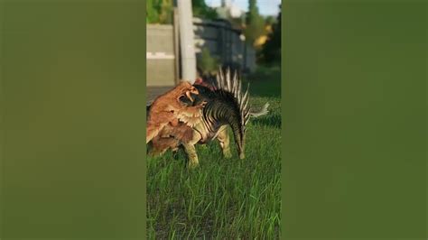 Pyroraptor Pack Vs Amargasaurus Jurassic World Evolution 2 Youtube