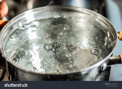 Will Boiling Water Kill All Bacteria At Jessica Zelman Blog