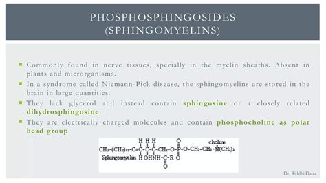 Basics Of Lipid Biochemistry Pptx