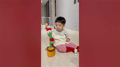 춤추는 선인장 너무 신기해요 아인이 아기 육아브이로그 Youtube