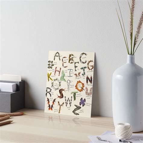 Insect Alphabet Bug Alphabet Phonetic Bug Lover Abcs Poster For
