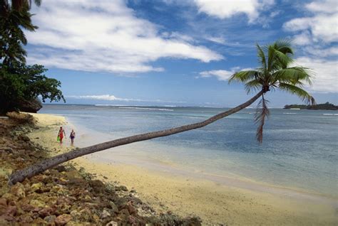 Where To Stay In Nadi Best Neighborhoods Expedia