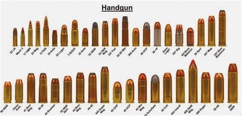If You Could Have Only One Handgun What Caliber Would You Pick