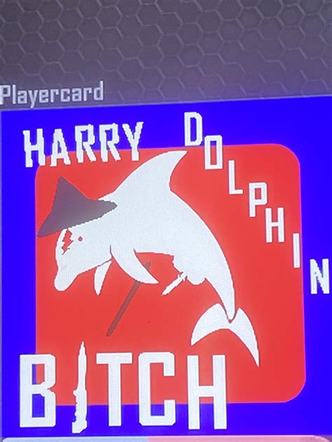 [bo2] Saw Others Uploading Their Old Emblems Let Me Introduce You To