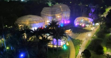 Este Viernes Vuelve El Jardín Botánico Nocturno En Bogotá Infobae