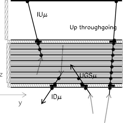 Vertical Cross Section Of The Detector And Sketch Of Different Event