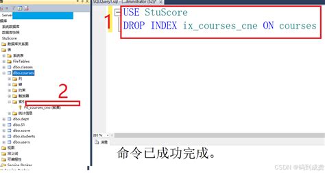 Sql Server学习08 使用索引和视图优化查询sqlserver索引的建立与使用 Csdn博客