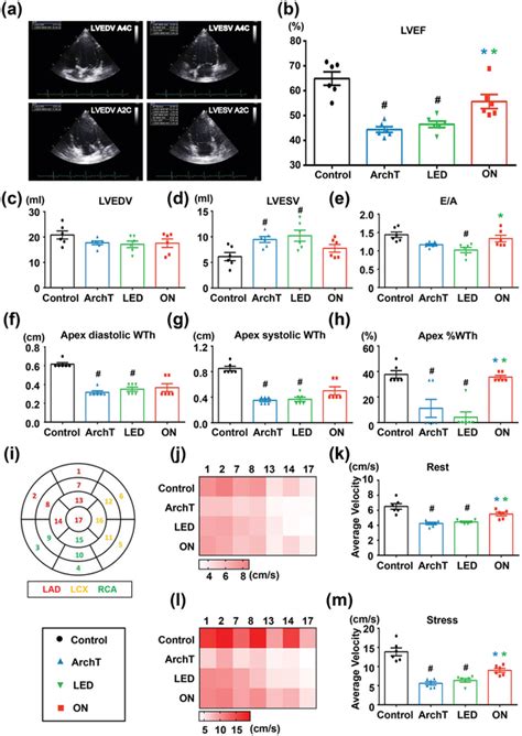 long‐term optogenetic neuromodulation improved mi‐induced lv download scientific diagram
