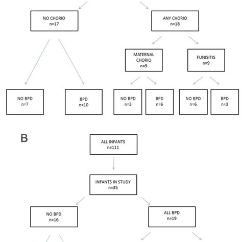 Tree Diagrams Depicting Categorization Of Infants Download Scientific