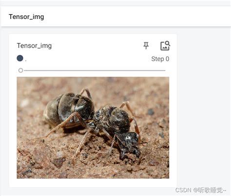 Pytorch深度学习transforms的使用python使用transform模型训练 Csdn博客