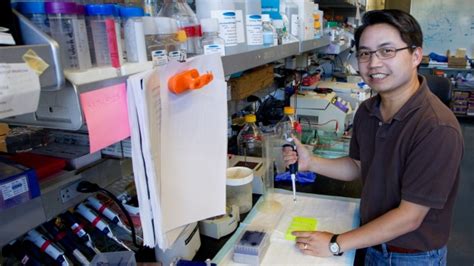 Scientists Unveil Sex Linked Control Of Genes