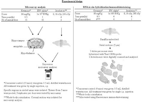 Experimental Designs Left Panel Microarray Analyses Right Panel Rna