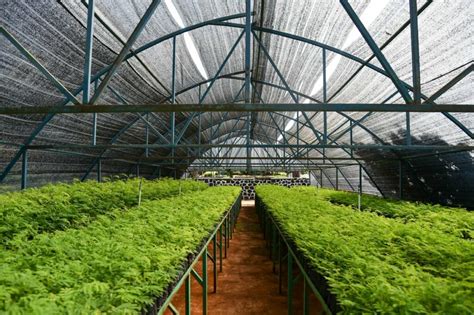 √ Contoh Proposal Permohonan Program Kbr Download Pdf