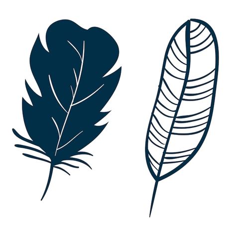 Premium Vector Feather Vector Design