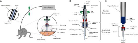 Figure 1 From A Magnetic Rotary Optical Fiber Connector For Optogenetic