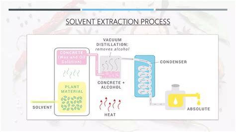 Microwave Assisted Extraction Of Spice Oleoresins And Oils Pptx