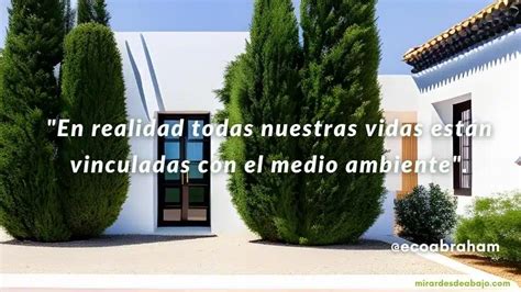 Frases Del Medio Ambiente Reflexiona Y Cuida El Planeta