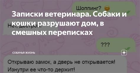 Записки ветеринара Собаки и кошки разрушают дом в смешных переписках СобачьЯ жизнь Дзен