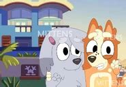 Bingo Heeler Bluey Future Wiki Fandom