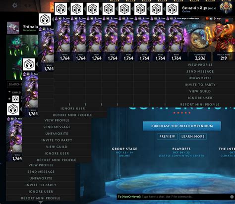 Profile Recursive Cosmetic Bug · Issue 12431 · Valvesoftwaredota2