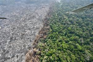 The Eu Decided That Only 4 Countries Around The World Are In “high Risk