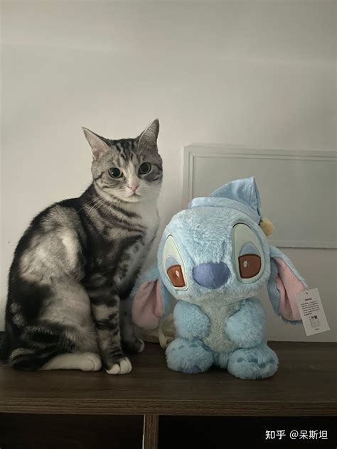 大家都生的什么哈基米，是怎么生出来的？ 知乎