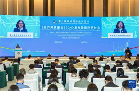 第七届进博会丨第七届虹桥国际经济论坛《世界开放报告2024》发布暨国际研讨会举行 新华网