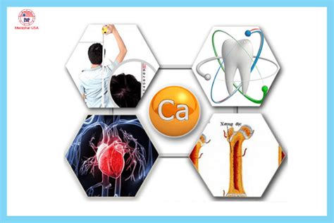 Calci Lactat Là Gì Có Công Dụng Gì đối Với đường Tiêu Hóa