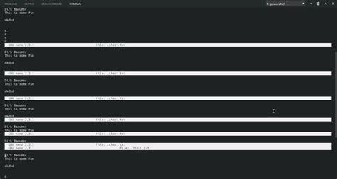 Terminal Has Scroll Bar After Second Launch Allowing To Scroll Away Inside Buffers · Issue