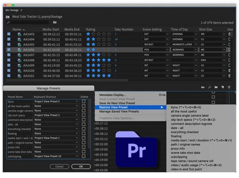 download my free set of adobe premiere pro project view presets by