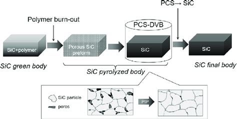 Schematic Illustration Of The Pip Process Download Scientific Diagram