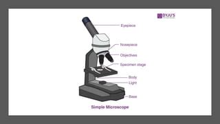Microscope PPTX