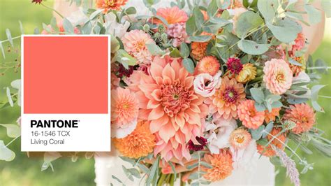 Living Coral Floral Inspiration For Pantone S Color Of The Year