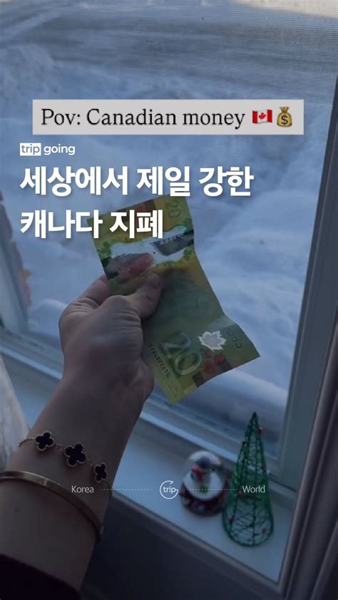 트립고잉 Tripgoing 스페이스xspacex가 2025년 첫 임무이자 7번째 시험 발사에 실패했습니다🔥 현지 시간
