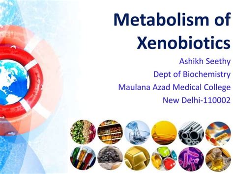 Metabolism Of Xenobiotics Ppt