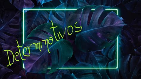 Los Determinativos Youtube