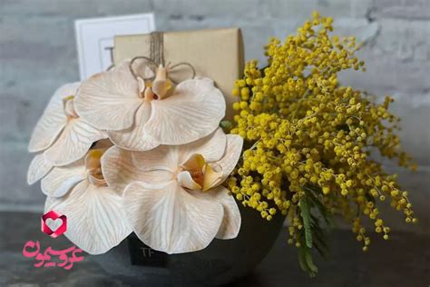 ایده عیدی عروس برای نوروز نکات عیدی بردن عروس 1403