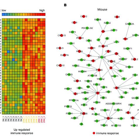 The Molecular Interaction Network Revealed The Up And Down Regulated