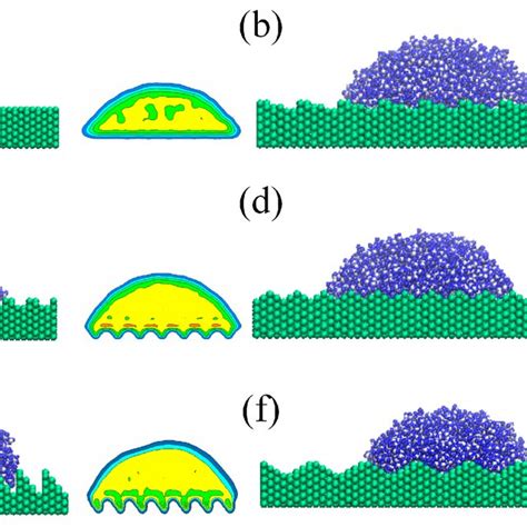 The Snapshots In Equilibrium State And Time Averaged Density Profiles