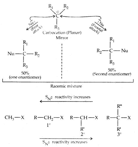 Haloalkanes And Haloarenes Class Notes Chemistry Chapter