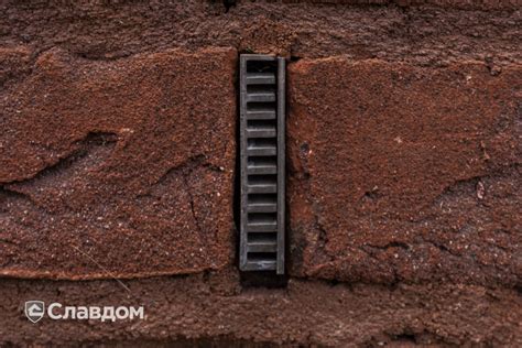 Вентиляционно-осушающая коробочка Baut коричневая, 115*60*12 мм купить ...
