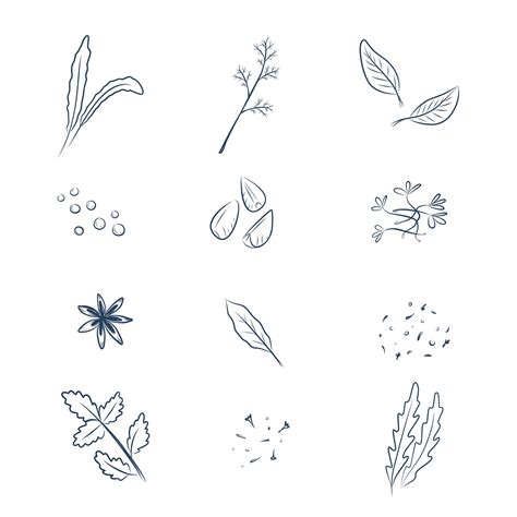Premium Vector Spices Collection Spices Set Natural Seasoning And