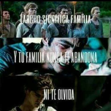 La Hermana De Minho Newt Y Tu Newt Wattpad