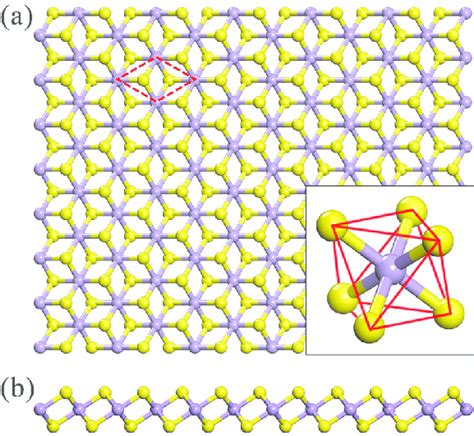 A Top View And B Side View Of Monolayer Mns 2 Where Mn And S Atoms